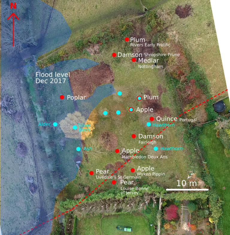 Orchard planting plan – Rumwoldstow